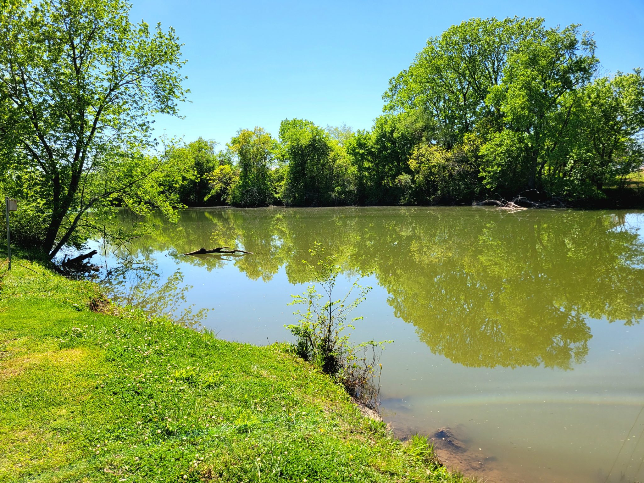 Duck River listed as ‘threatened river’ - Bedford County Post